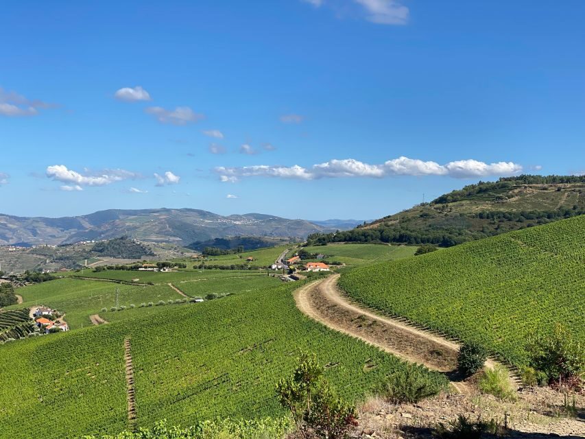 Douro - walking with full fancy lunch and premium wines - Exploring the Douro Valley in Depth
