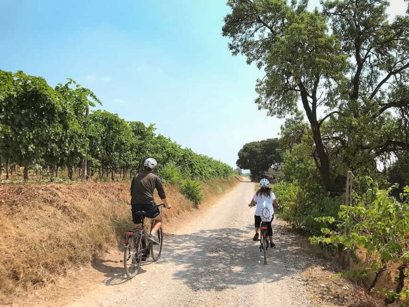E-bike adventure among villages and medieval castles - Practical Details and Why They Matter