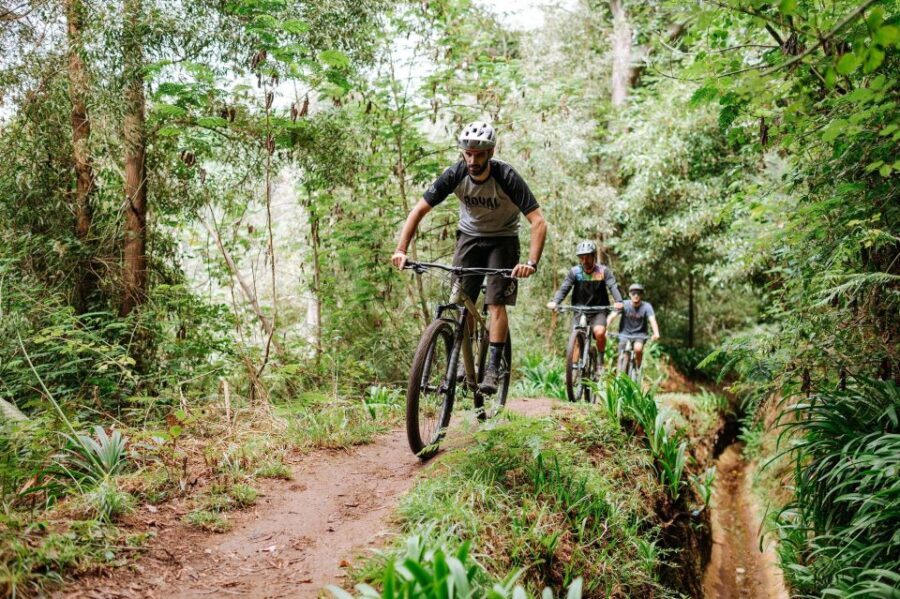 E-Bike Guided Tour - Mountain biking experience - The Authenticity Factor: Reviews and Real Experiences