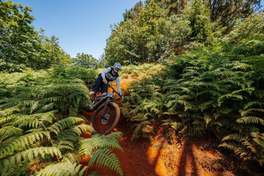 E-Bike Guided Tour - North Side Mountain Biking - Detailed Breakdown of the Itinerary