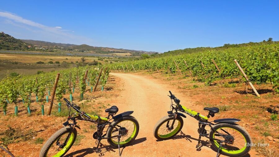 E-bike Tours Carvoeiro - Castelo Silves - The Practicalities: What You Need to Know