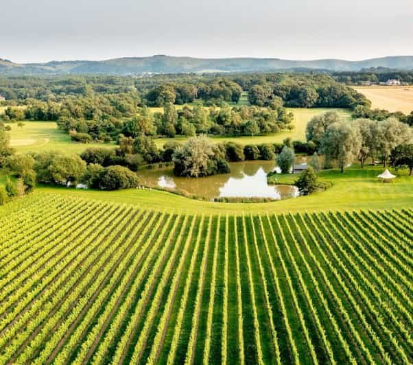 Ebike Tour Albourne Estate: Wine Tasting and Downs eBiking - What the Itinerary Looks Like