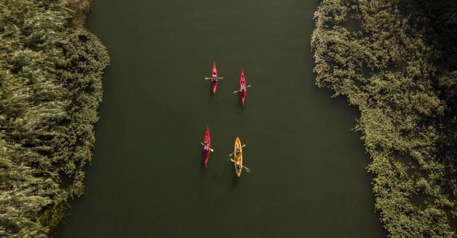 Ebro Delta: Guided Kayak Tour to Gracia Island - Who Will Love This Tour?