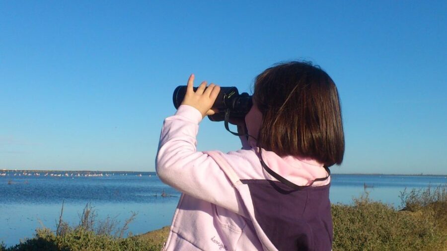 Ebro Delta: Northern Delta Guided Tour with a Local - Who Will Enjoy This Tour?
