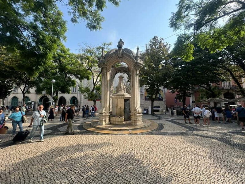 Eco Tuk Tours Lisbon - Who Will Love This Tour?