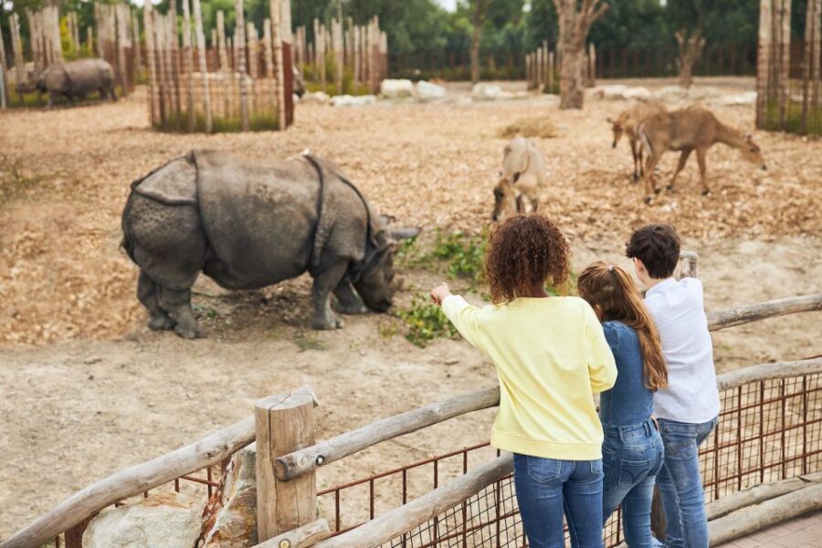 Eindhoven Zoo Entry Ticket - The Itinerary Breakdown