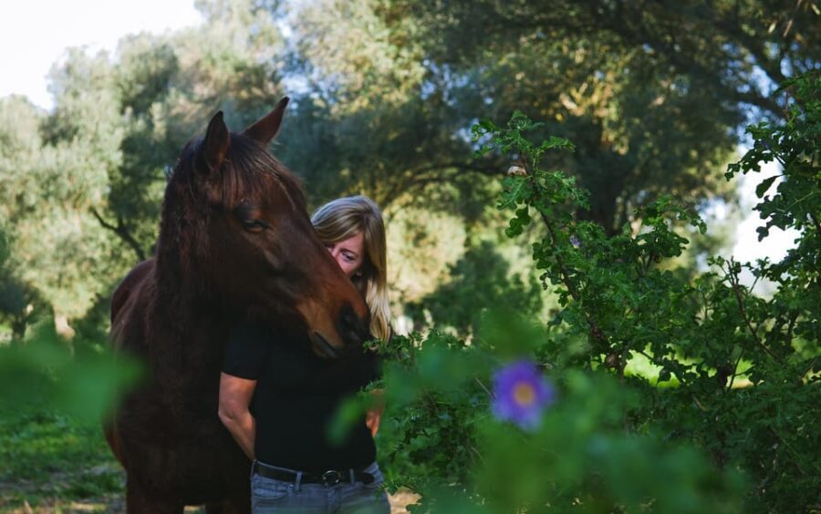 El Palmar: Reconecta gracias al Coaching con Caballos - The Itinerary in Detail