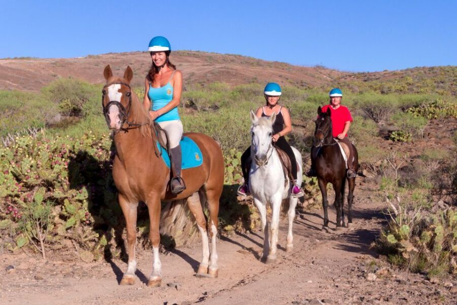 El Salobre: Horse Riding Adventure with Transfer Options - The Value of the Experience