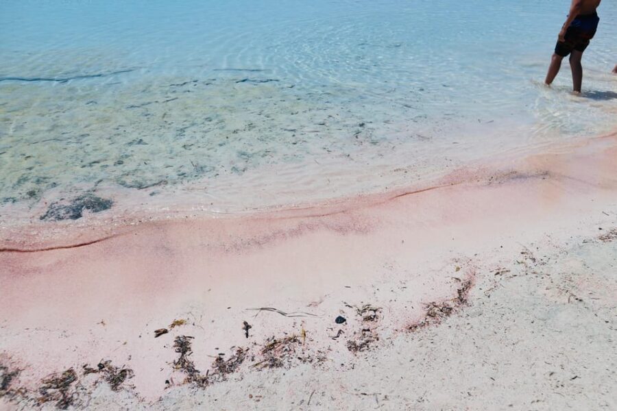 Elafonisi Road Trip - Be first at Beach! - The Experience and Atmosphere
