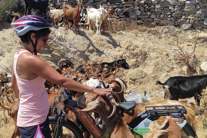 Electric Bike Tour Around the Upper Valley - Key Points