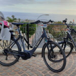 Electric City Bike Rental with Hotel Delivery - Deep Dive into the Itinerary