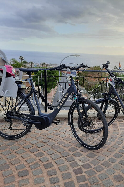 Electric City Bike Rental with Hotel Delivery - Deep Dive into the Itinerary