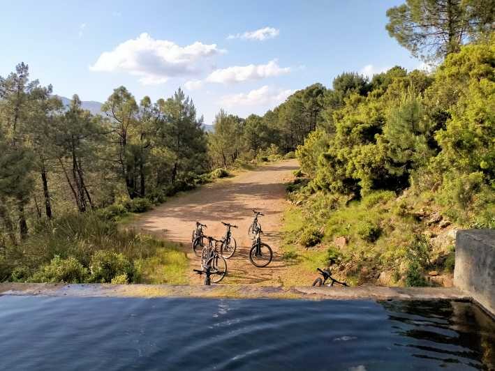 Electric mountain bike in Sierra de las Nieves national park - What to Expect from the Ride