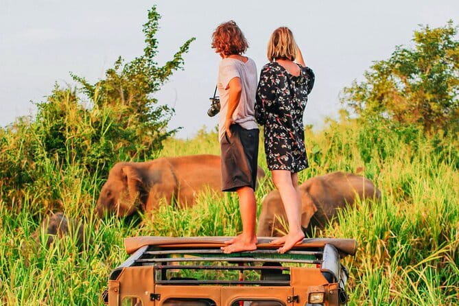 Ella to Mirissa Shuttle & Safari Drive - Key Points