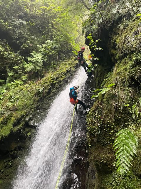 EPIC Madeira Canyoning Level Two - Who Will Love This Tour?