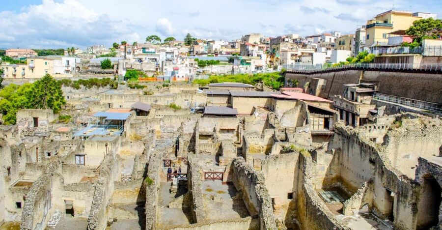 Ercolano: Herculaneum Entry Ticket with Optional Audio Guide - Who Will Love This Tour?