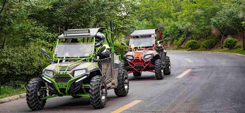 Escursione in Quad Buggy di Notte - Practical Details and Value