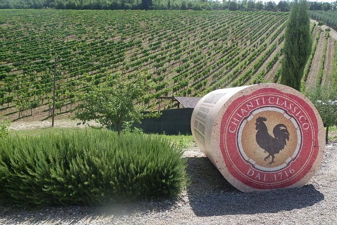 Essence of Chianti Small Group Tour with Lunch and Tastings from Florence - A Day in the Heart of Chianti: What to Expect