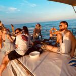 Estepona: Dolphins Searching Sea Cruise with Drink & Snacks - The Itinerary in Detail