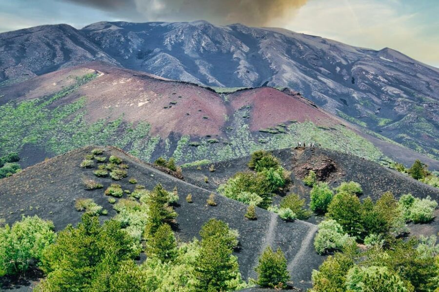 Etna Monti Sartorius, Ancient wine cellar Slow Food tasting - Why This Tour Matters