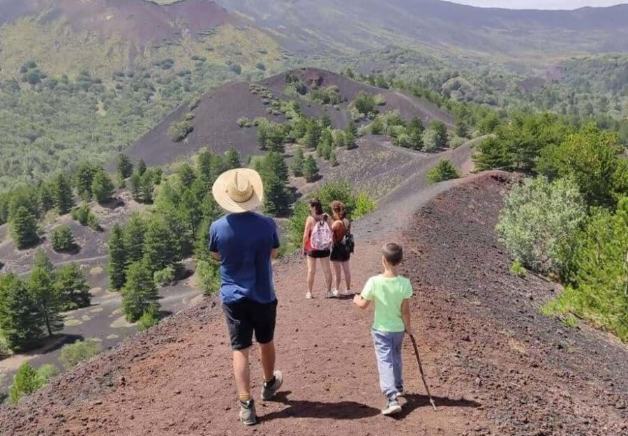 Etna North: Private Trekking and Wine tasting with light lunch - Exploring the Itinerary: What You Can Expect
