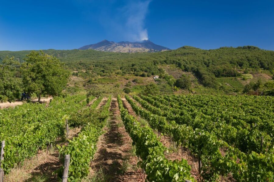 Etna Quad & Wine Combo Private Tour - Final Thoughts