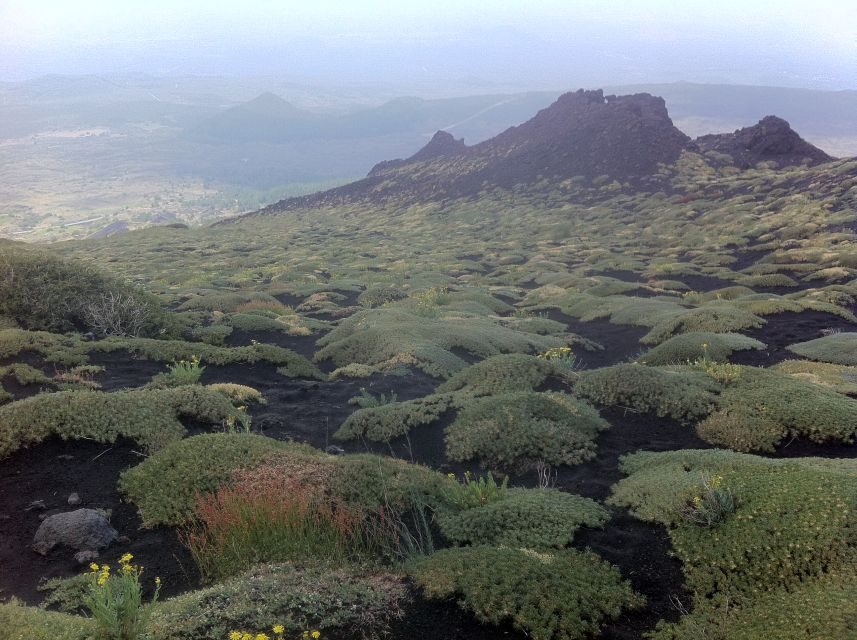 Etna: Sunset Tour on the Volcano - What to Expect on the Etna Sunset Tour
