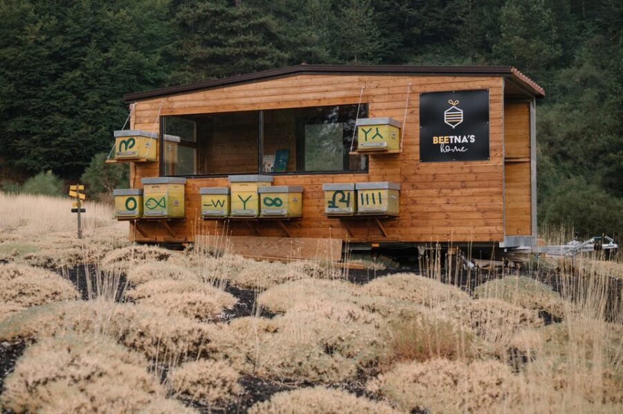 Etna: The magic World of Bees Tour - A Close Look at the Beekeeping Tour