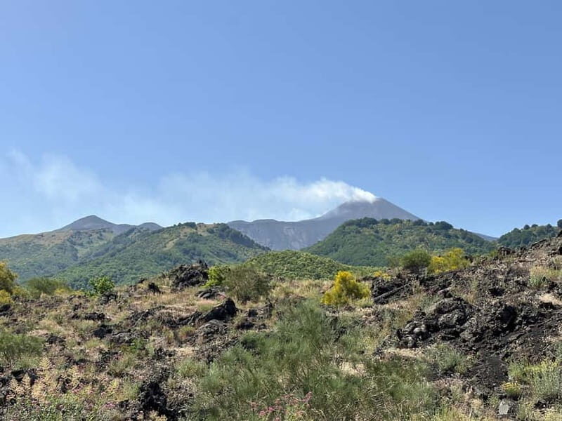 Etna Tour - HalfDay Small Group & licensed Tour Guide - The Final Verdict: Who Should Consider This Tour?