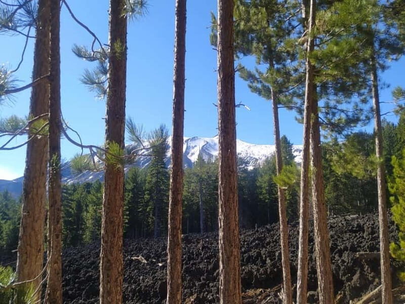 Etna walking tour, visit of a lava tunnel, Arancino tasting - Detailed Breakdown of the Itinerary