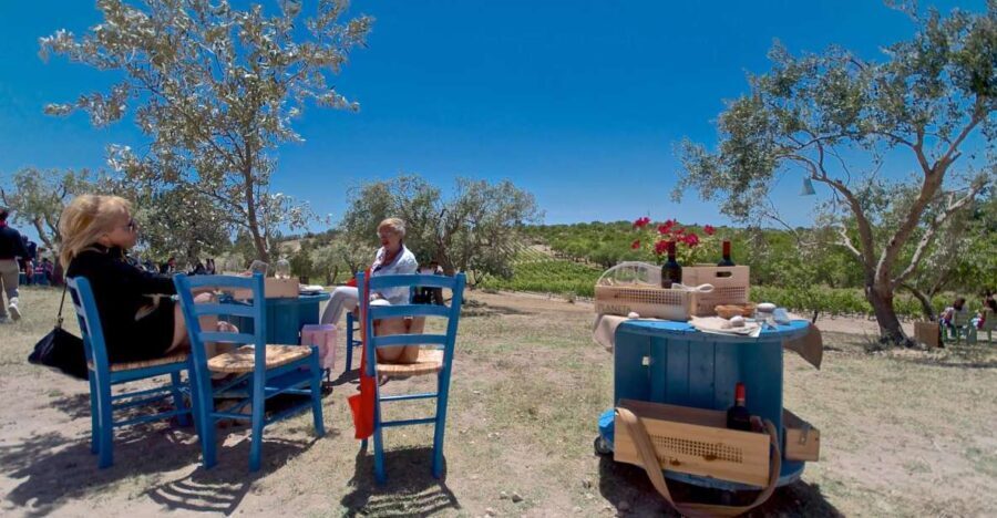 Etna & Wine Private Day Tour - What’s Included and What You Should Know