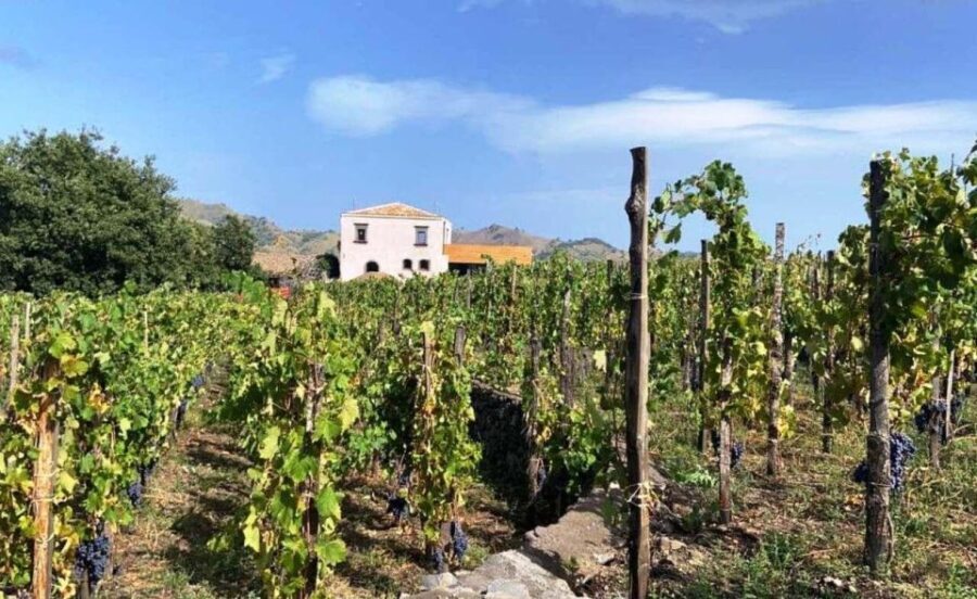 Etna: Wine Tasting and Food Tour - Authentic Experiences and What Sets This Tour Apart