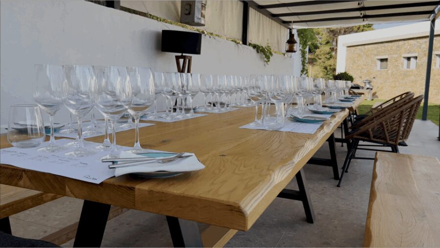 Evening of Wine and Scenic Views in Skiathos - The Wines and Food: A Flavorful Pairing