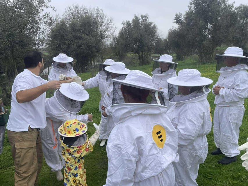 Évora or Montemor: Beekeeping, Chocolate factory, Wine tasting - What Makes This Tour Stand Out?