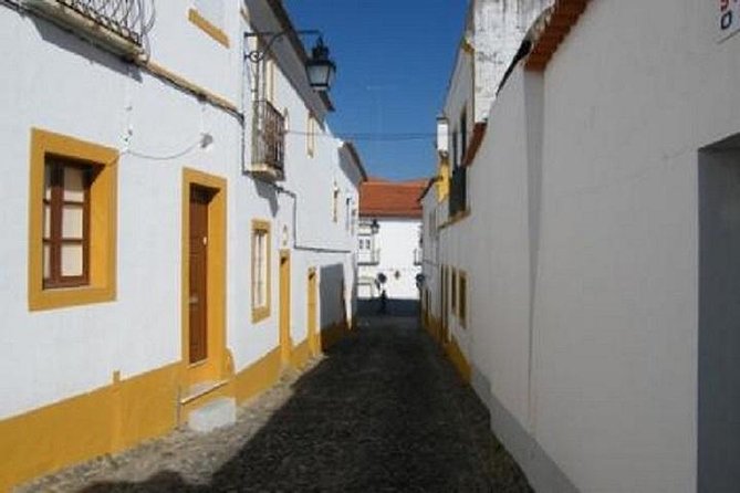 Evora Private Tour - The Experience: A Deep Dive into the Tour