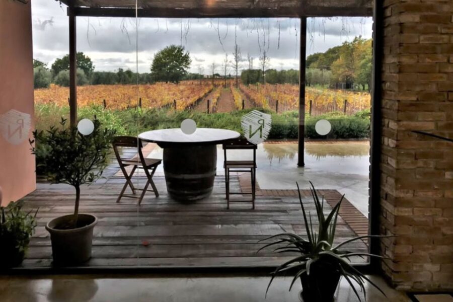 Exclusive Bolgheri Full-Day Wine Tour from Florence - The Wineries: Campo alla Sughera and Podere Grattamacco