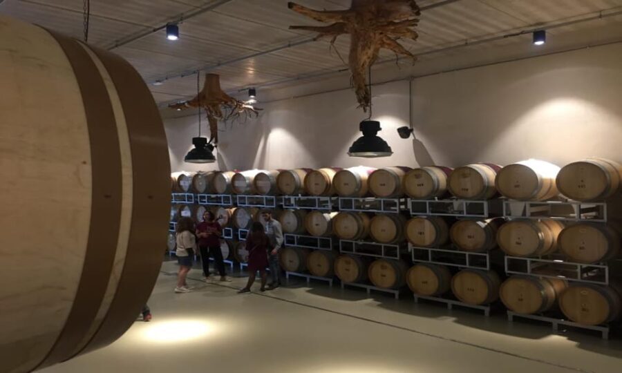 Exclusive Cortona Tour, Land of Tuscan Syrah - The Sum Up