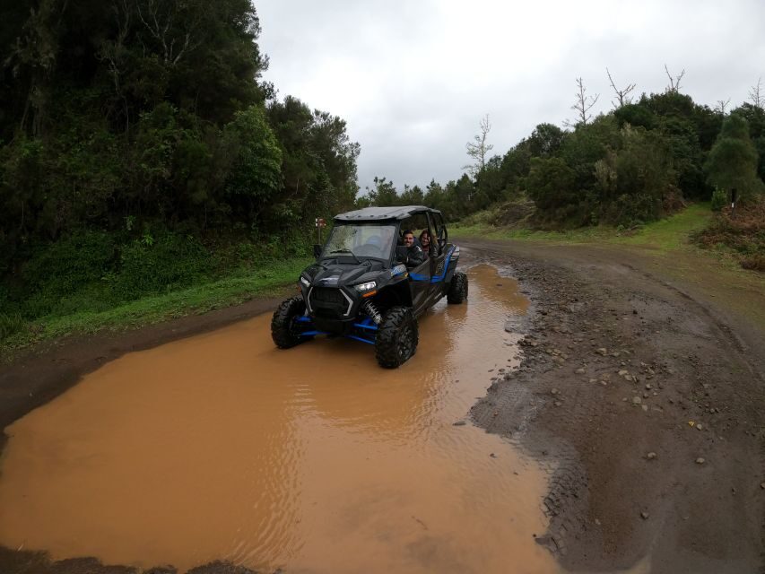 Exclusive Private Buggy Adventure: Forest and Mountains - Why This Tour Is a Great Choice