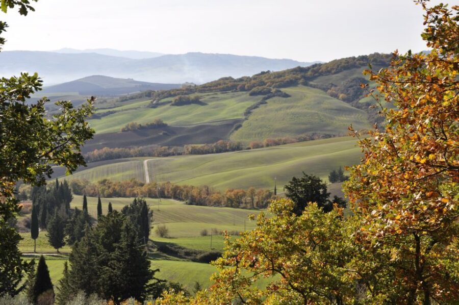 Exclusive Val dOrcia Full-Day Wine Tour from Florence - An Authentic Taste of Tuscany: What You Can Expect
