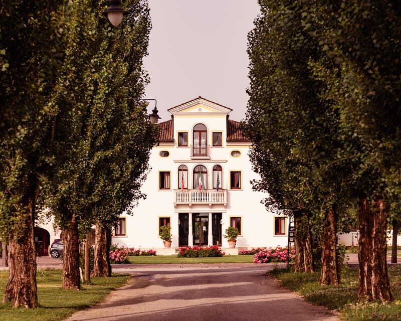 Exclusive Wine Experience: Venetian Best Vineyards - What You Can Expect to See and Do