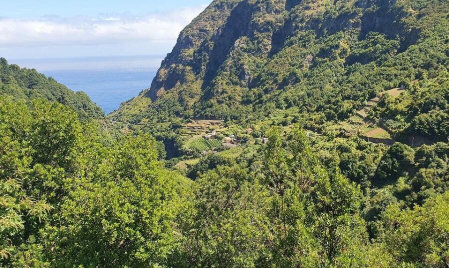 Exclusive Wine Tasting Tour in the Wine Region of Boaventura - The Journey and Logistics