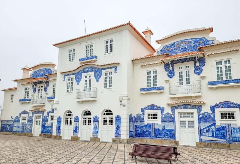 Excursion à Aveiro  Venise du Portugal+Balade en Moliceiro. - Detailed Breakdown of the Itinerary
