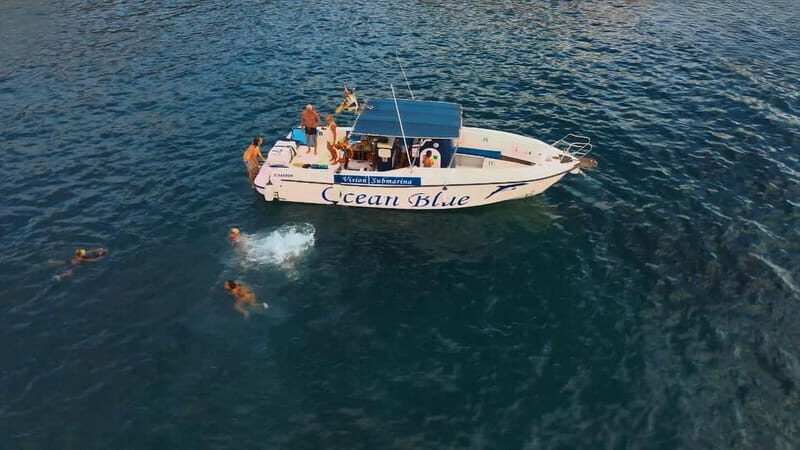 Excursion to see the whales - 3 Hours - Why This Tour Offers Good Value