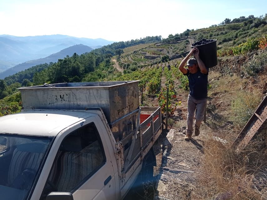 Experience in Pinhão: Wine Tasting, Lunch and Rabelo Boat - A Deep Dive into the Experience