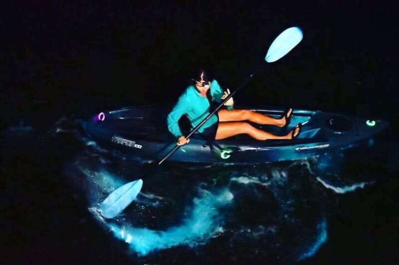Experience the Magic: Night with Glowing Plankton - Key Points