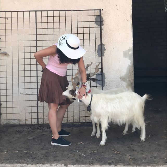 Experience with Girgentan goats in Agrigento - Who Would Love This Tour?
