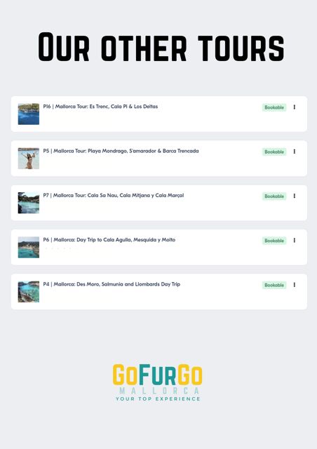 Experinence in Mondrago /S'amarador / Trencada Snorkel y SUP - What You Can Expect from the Tour