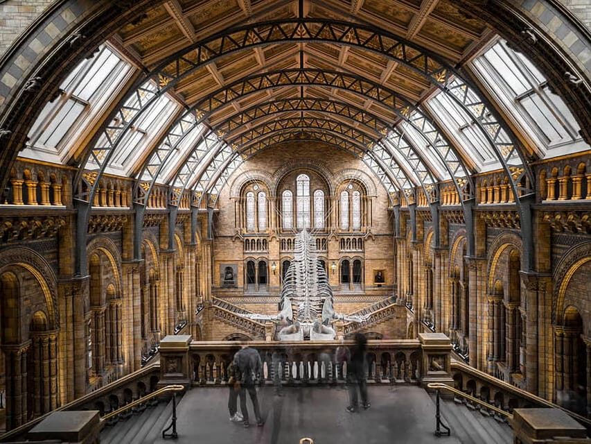 Explore History: British Museum's Rosetta, Mummies & More - Egyptian Mummies and Burial Artifacts