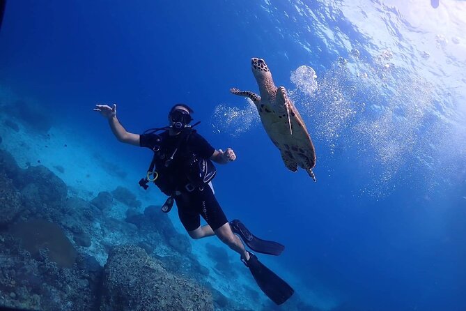 Explore Scuba Diving at Racha Yai Island from Phuket - Key Points