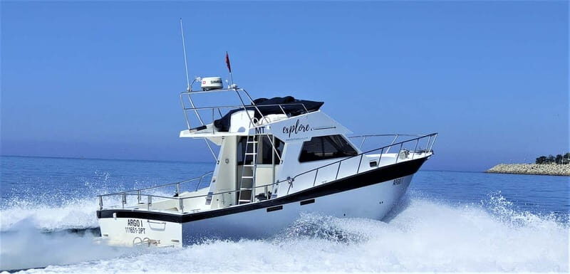 Explore Sesimbra: Sport Fishing All Inclusive half-day trip - The Real Value